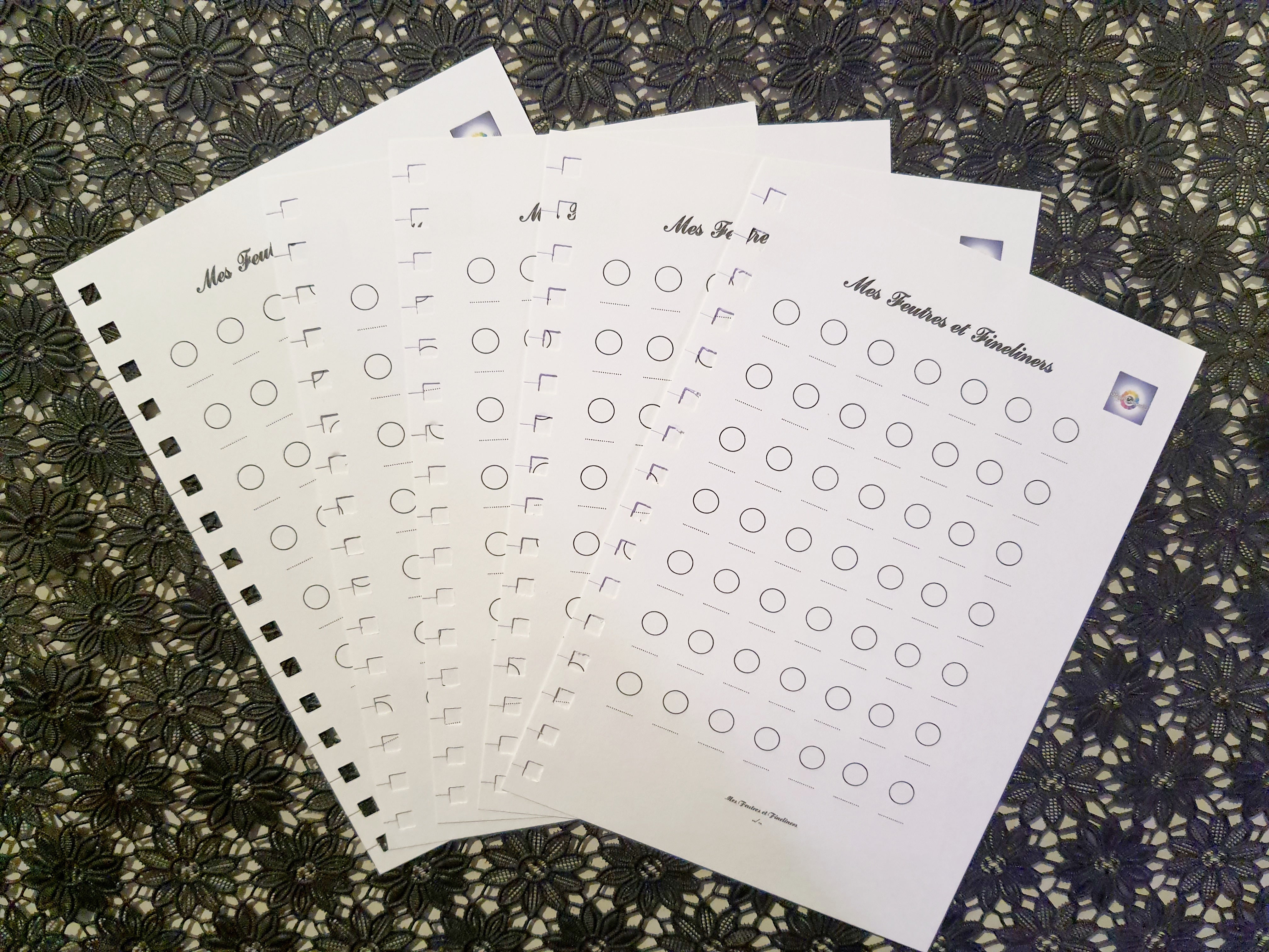 Collections – STEPHCOLORS